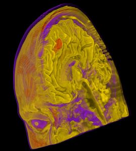 Lunchtime Seminar: Rob Boddice, ‘The New History of Experience ...